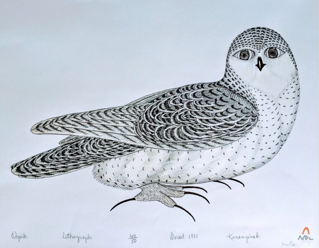 Kananginak Pootoogook - Inuit Art Prints and Drawings